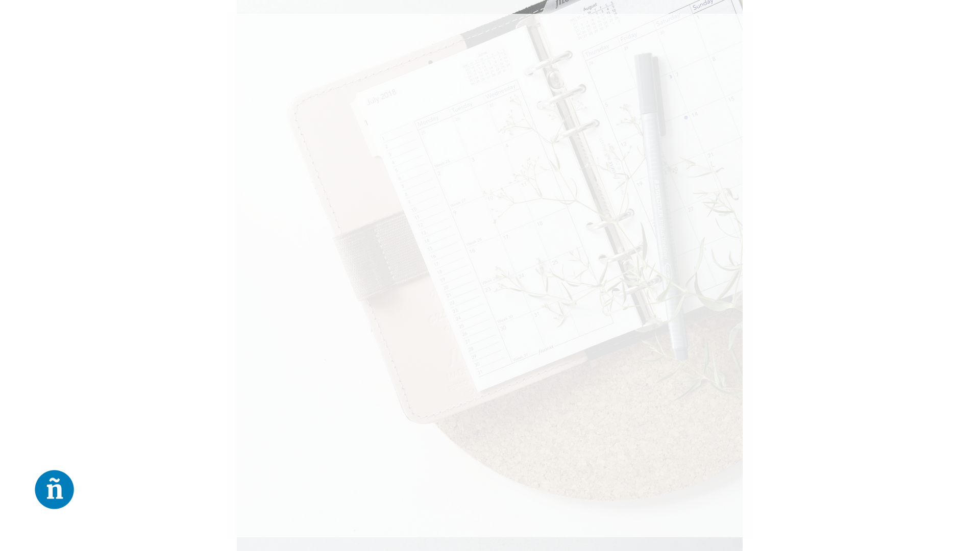 Mis planes de futuro en español: presente, ir a + infinitivo y futuro ...